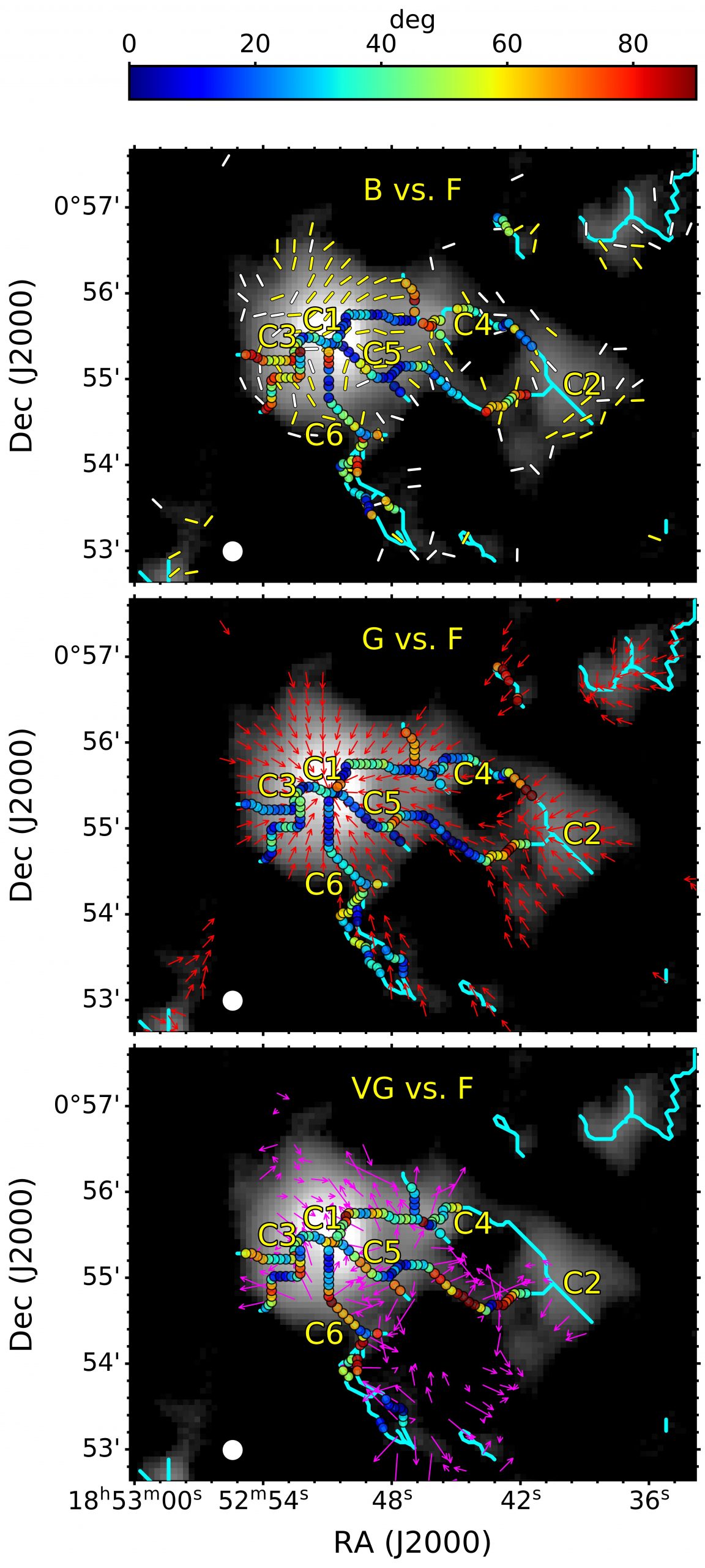 Formation of the Hub–Filament System G33.92+0.11: Local Interplay ...