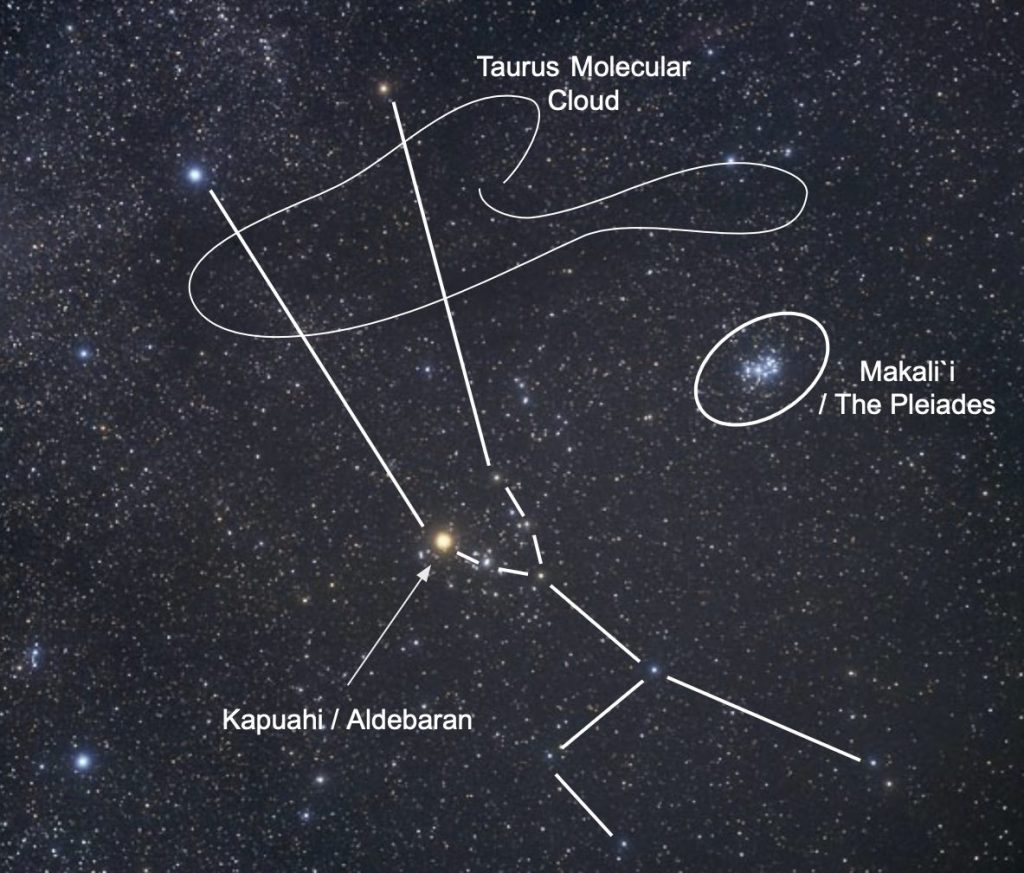 JCMT Astronomers Watch the Battle Between Gravity and Magnetic Fields ...
